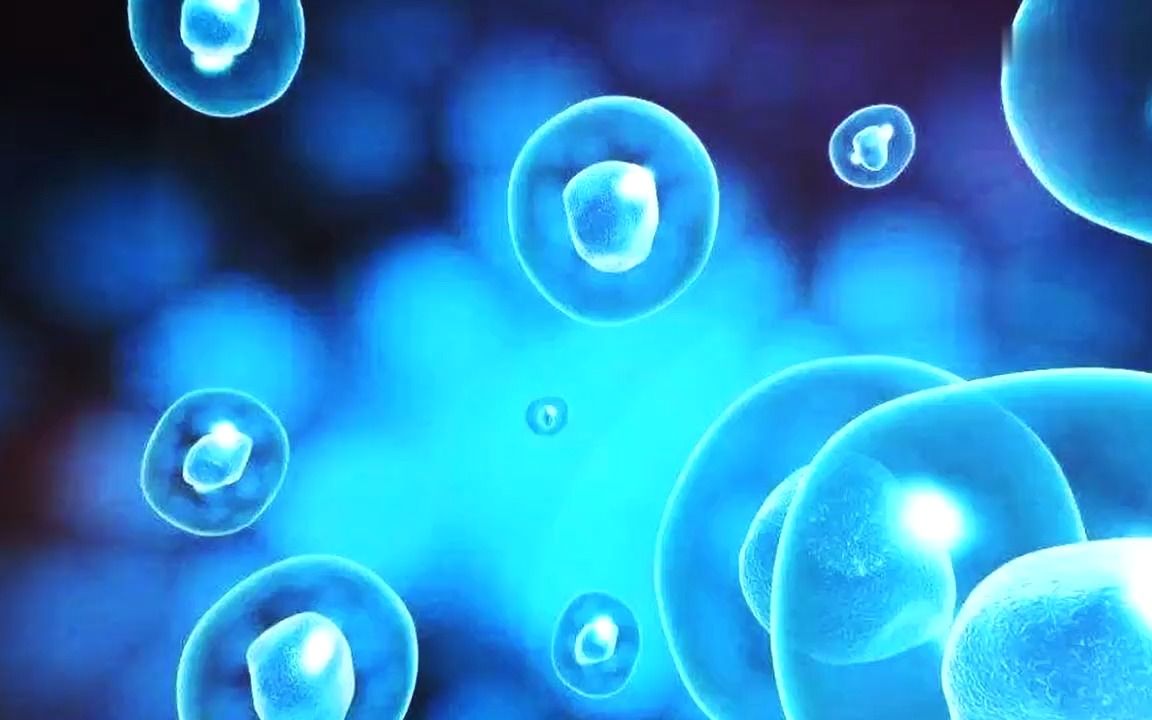 [2.2.1]--动作电位的产生与传播
