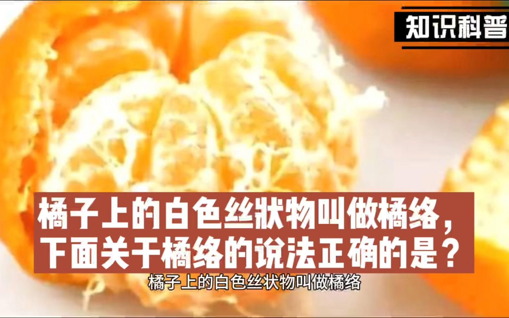 橘子上的白色丝状物叫做橘络,下面关于橘络的说法正确的是?