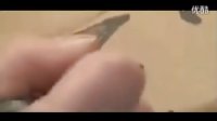 美女是怎么样帮助盲人乞讨的