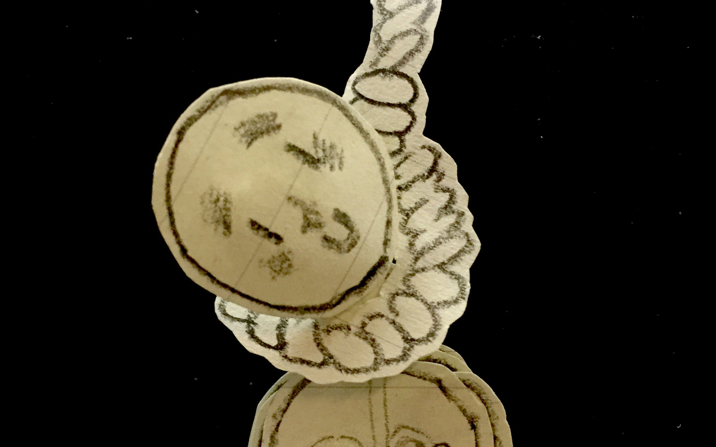 【定格动画】13级联合练习《实物动画》part1