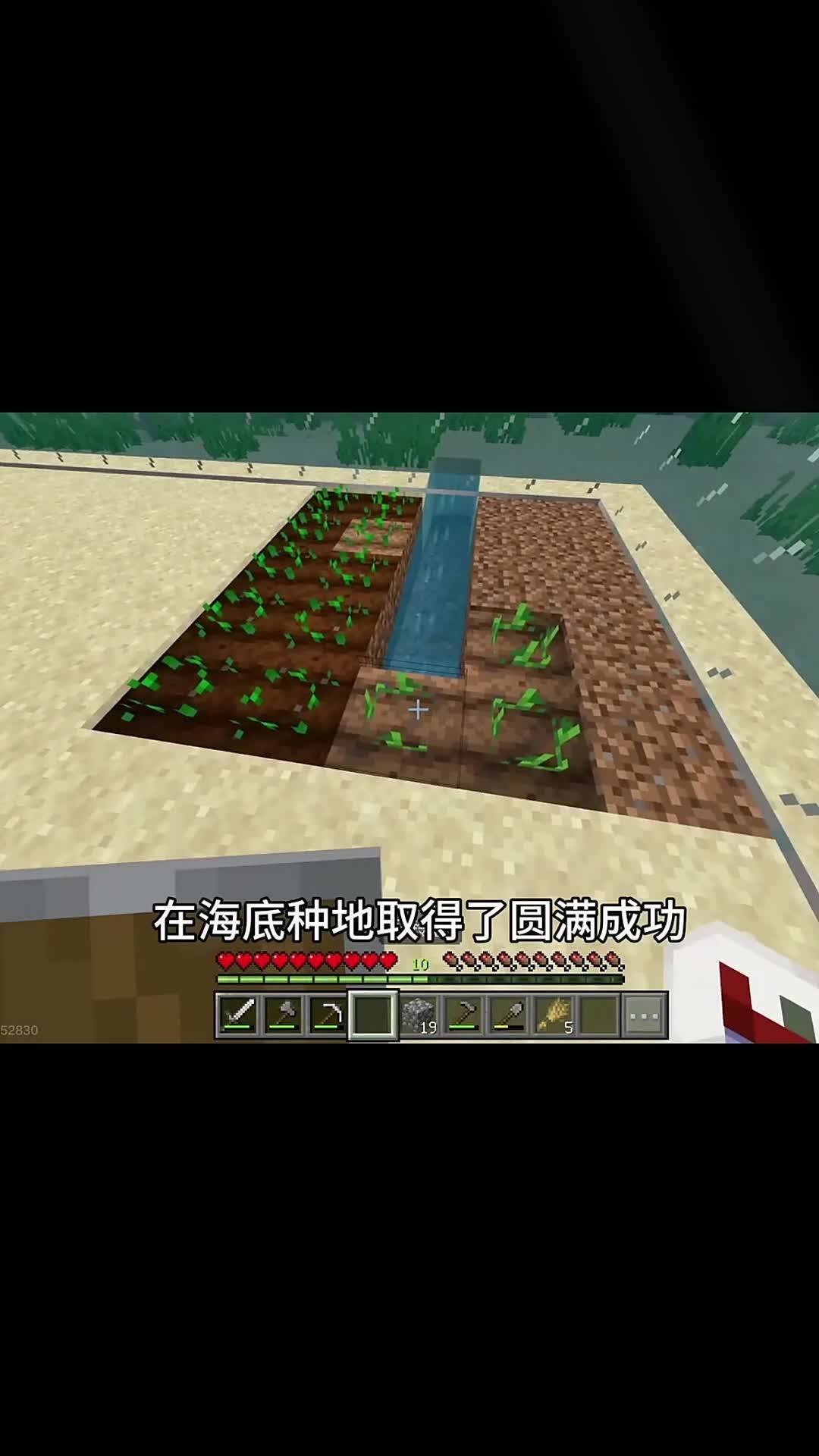 我的世界:无尽海洋生存,从今天开始终于不用吃海带了!