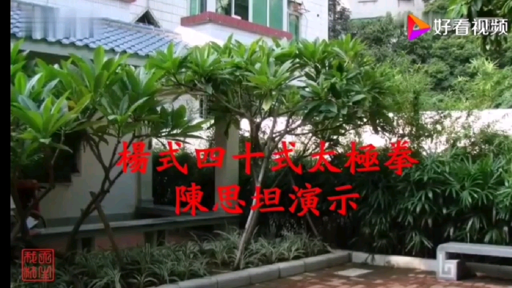 杨式四十式太极拳正面背向字幕口令版