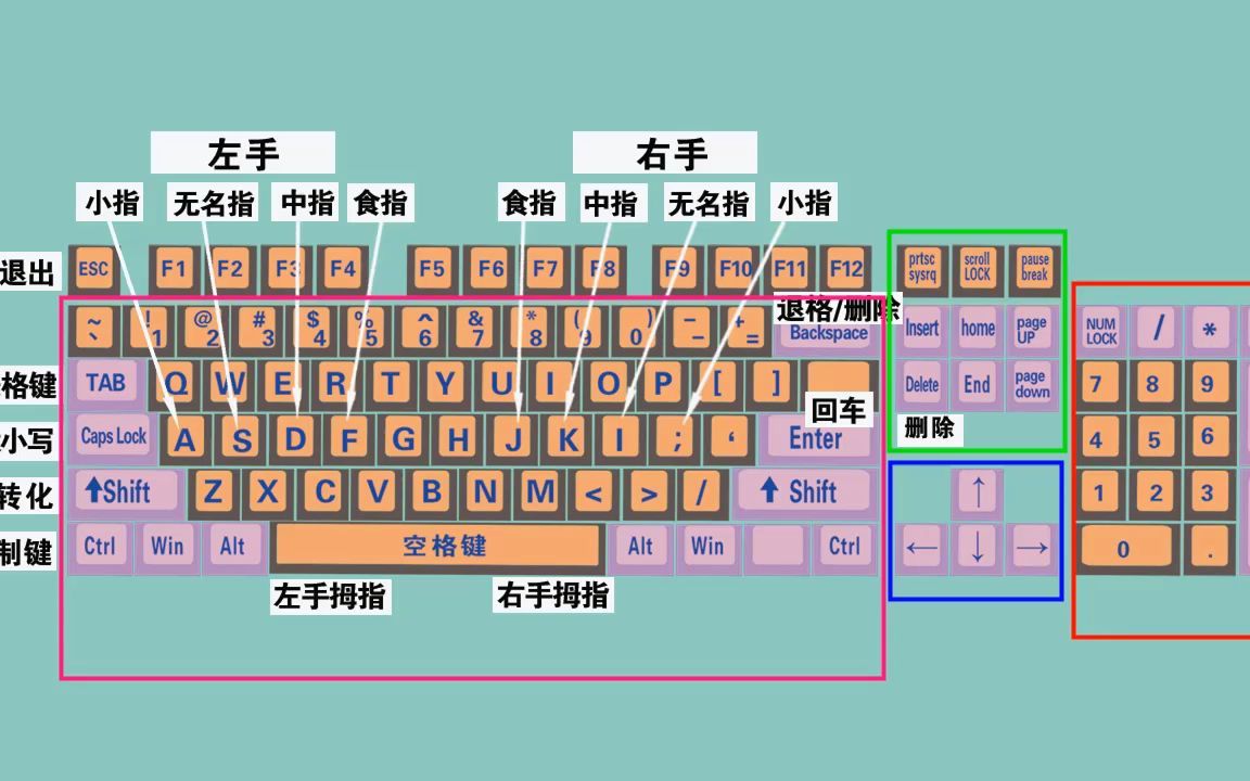 零基础电脑知识，掌握键盘标准指法，打字速度和准确率都可以提高
