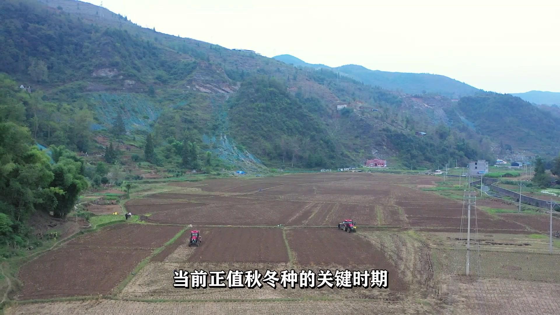 #沿河油菜种植正当时农机农技助秋播#乡村振兴(记者:张洪全编辑:黄...