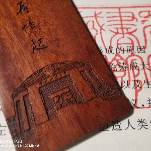 咕咕叫的松子 
