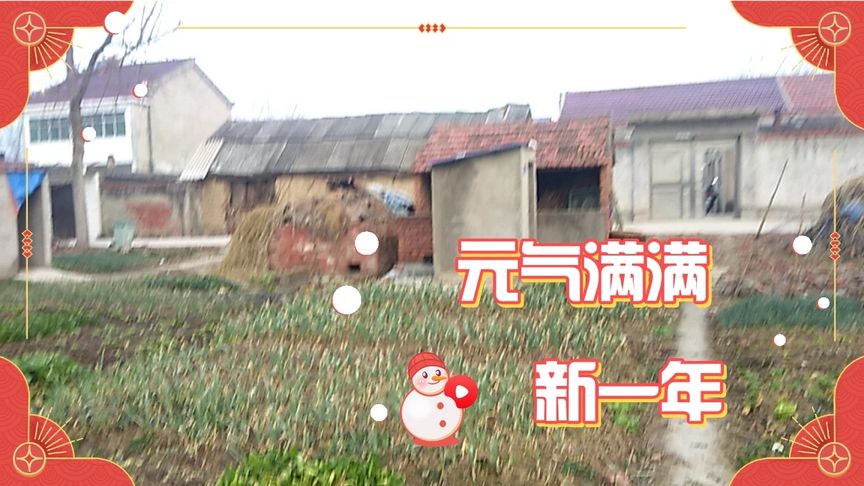 农村厕所改造,一家一户建一个厕所,党的政策精确到位。
