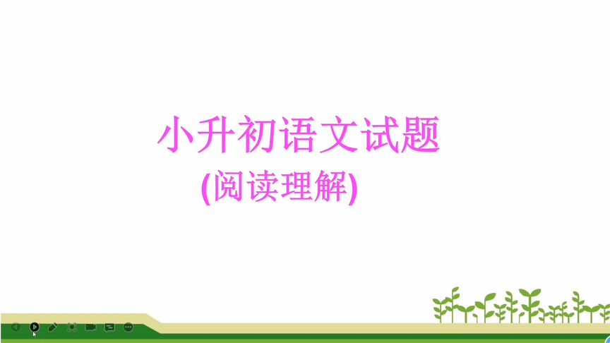 小升初语文试题(阅读理解)