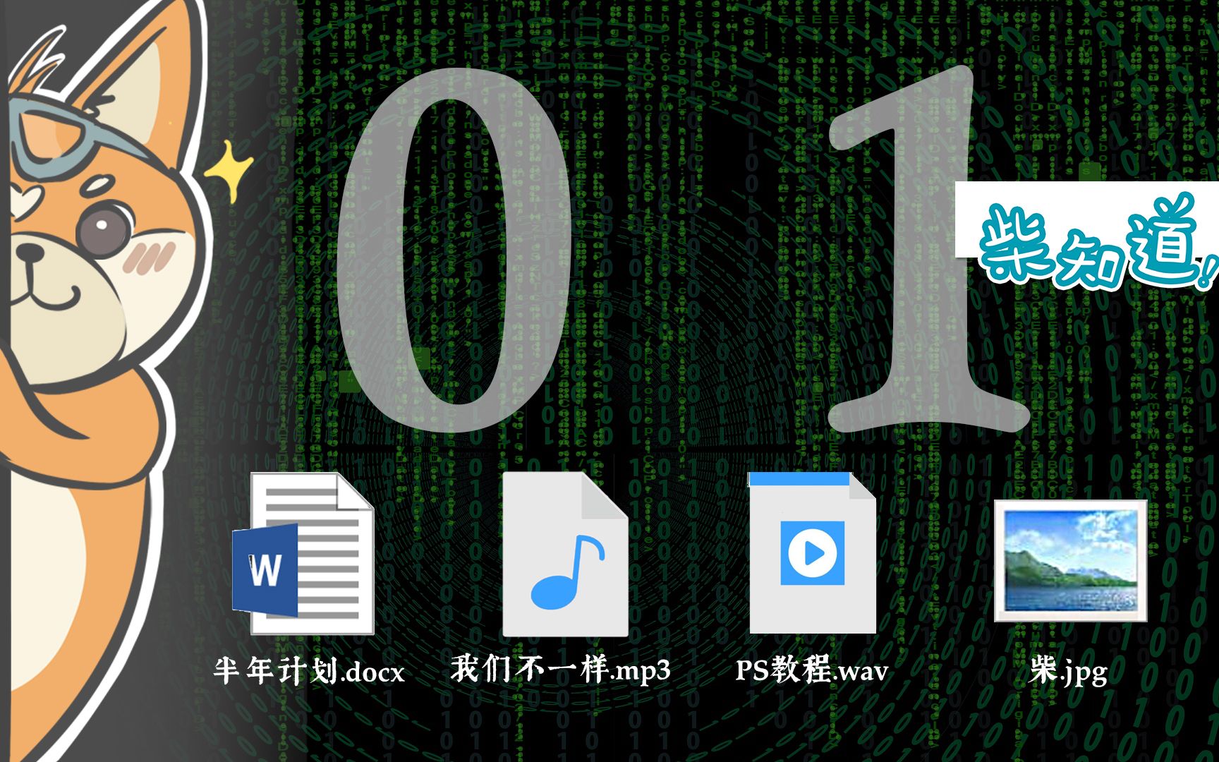 电影?游戏?纸片人老婆?在数字世界里它们统统都只是0和1而已