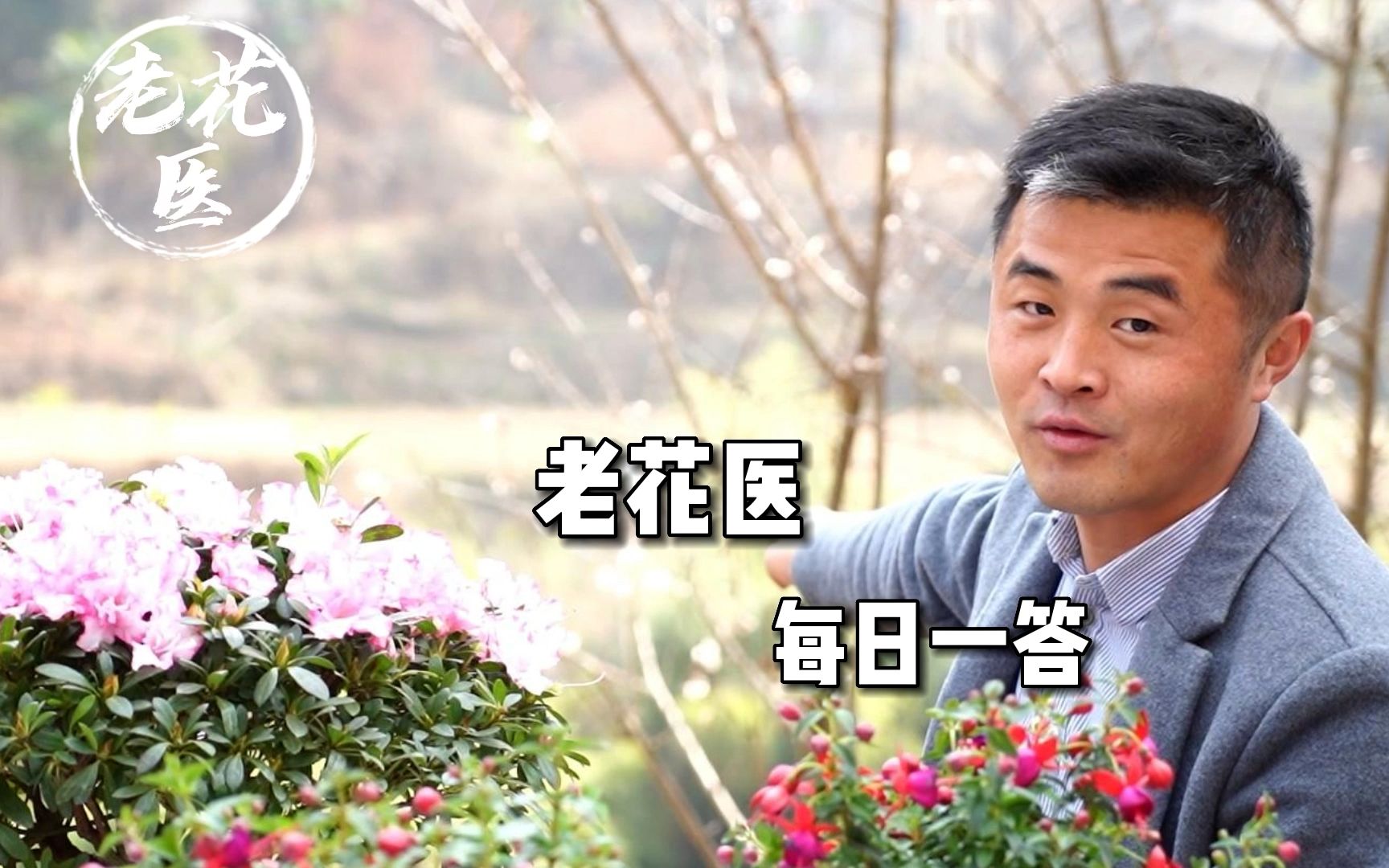 量天尺烂顶怎么补救?栀子花如何修剪?