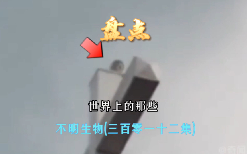 游走在医院走廊里的诡异黑影!盘点世界上的那些不明生物312