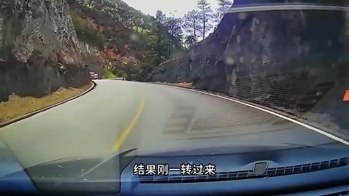 女司机弯道掉头,骑手破口大骂交通事故交通安全车祸现场