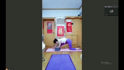 今天家中的腾讯会议线上课,阴阳瑜伽:脾胃养护录屏片段。