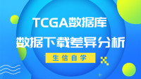 TCGA数据库基础课程数据下载差异分析生存曲线分析