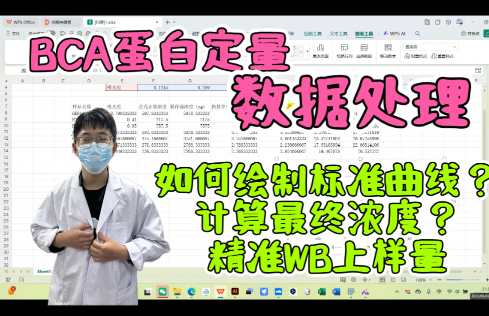 ...蛋白定量数据处理详细流程,一个视频教会你,如何绘制标准曲线?计算...