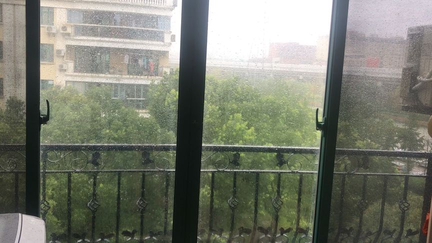 台风来了看看上海,现在是什么样子?