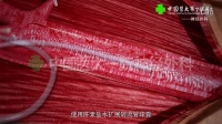 颈动脉内膜切除手术(转流管三维精简版logo)20140401