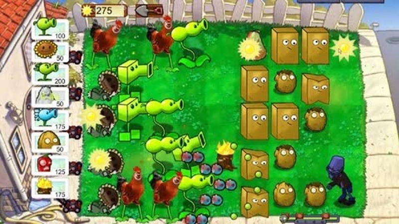 新植物:坚果方块#植物大战僵尸#游戏#pvz