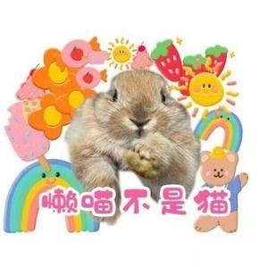 懒喵不是猫