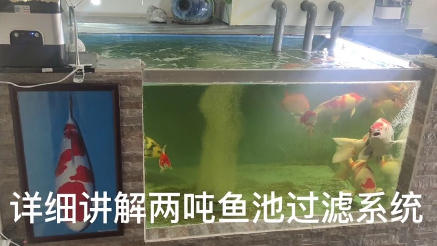 结合前几天的两吨鱼池设计图,实际讲解过滤系统