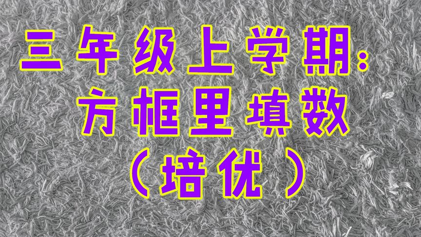 三年级上:方框里填数(培优)