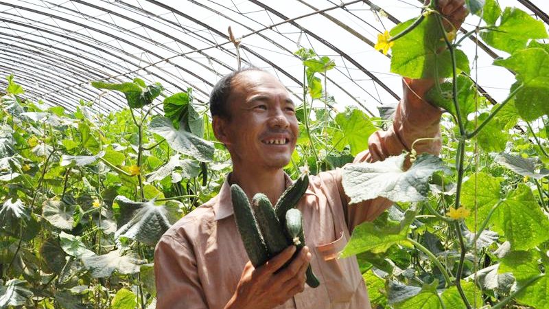 这种万能农药的使用方法太全了,关键还便宜,什么病虫害都防治