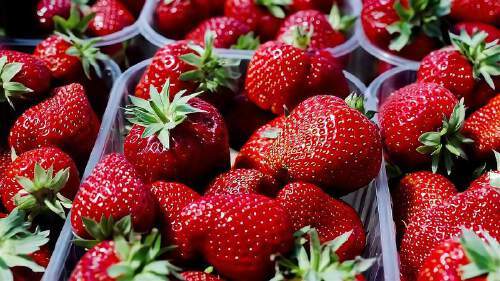 草莓价格大跌,今年草莓为什么这么便宜?果农:4个原因,很现实