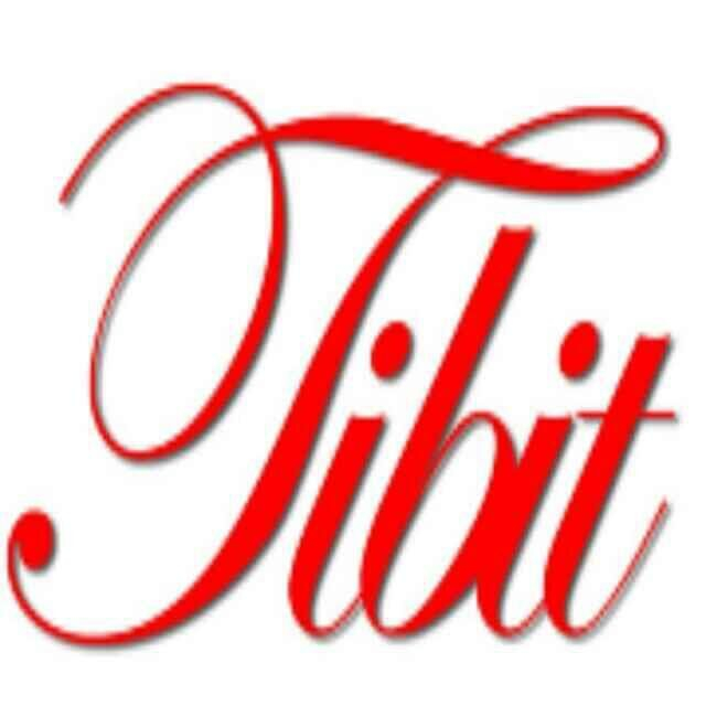 B站-tibit 