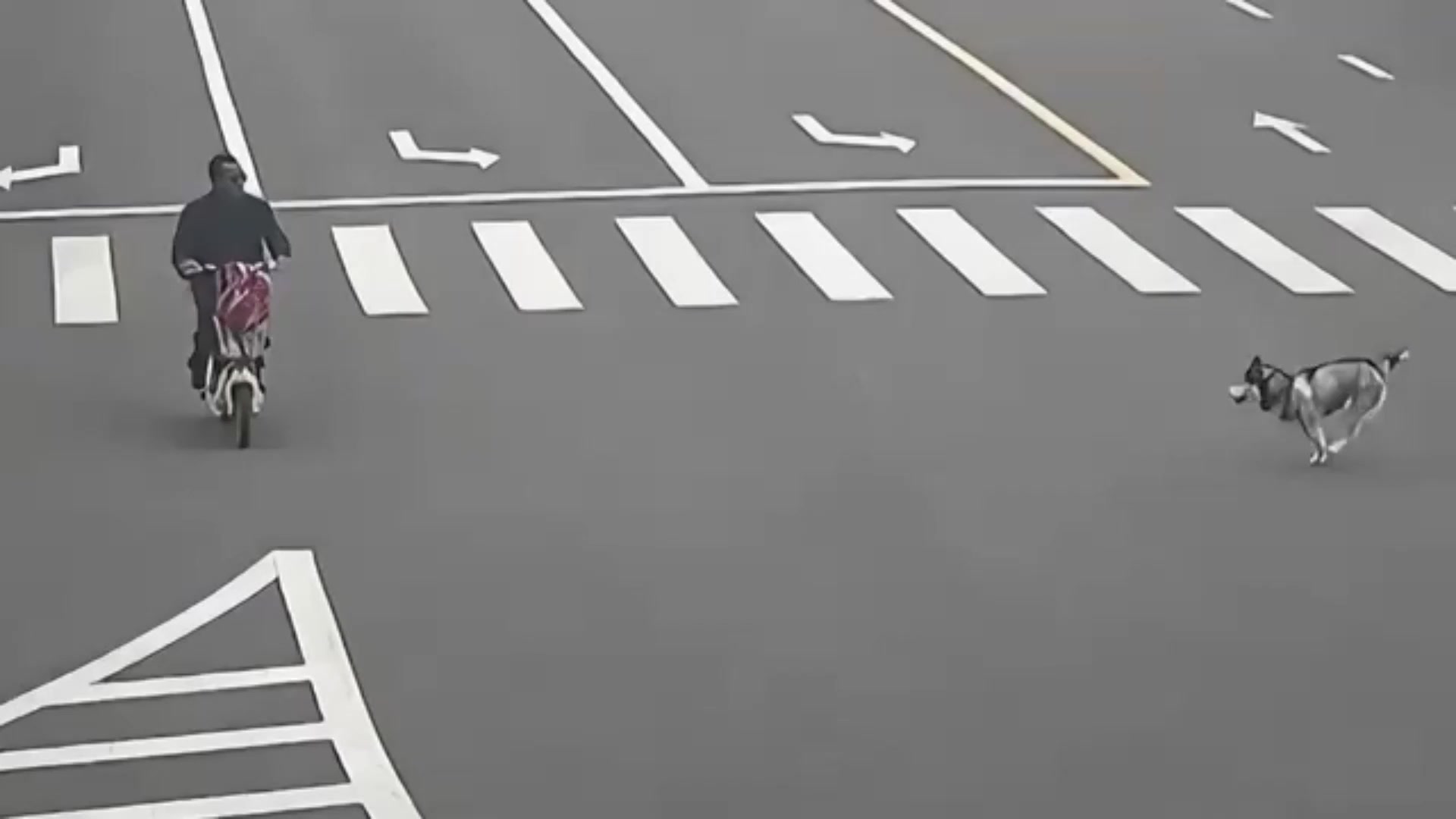 ...骑电动车去上学,半路被撞多处骨折,目击者:肇事者不是人 #热点 #交通...