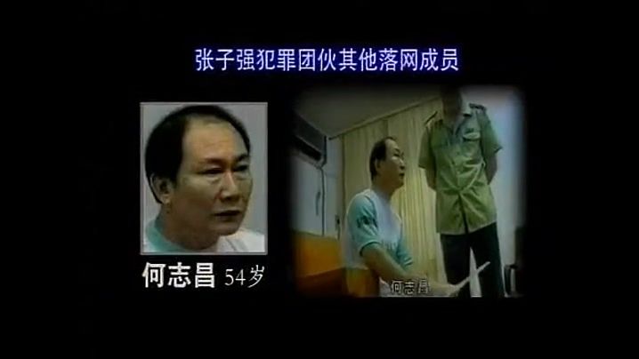 中国大案要案实录:‘’世纪贼王‘’张子强犯罪团伙覆灭记纪实