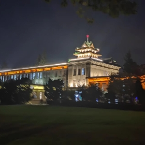 南农芋圆 