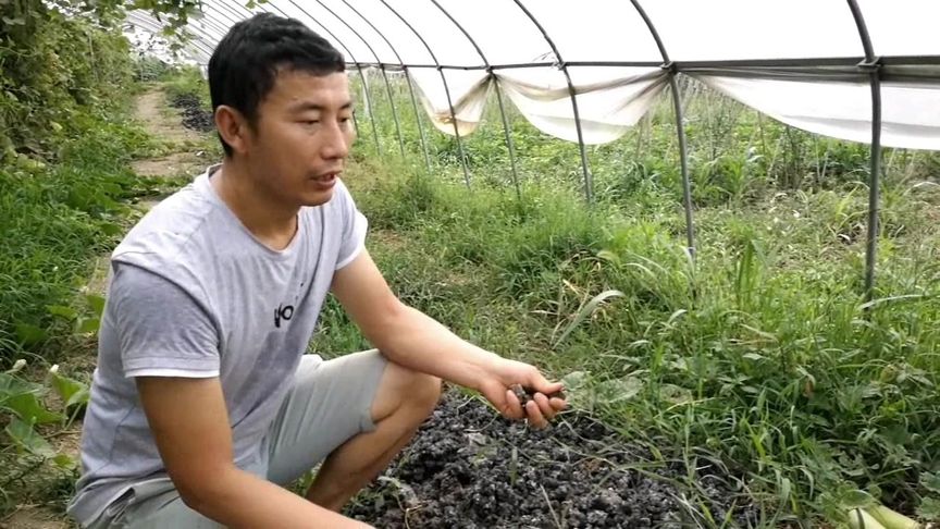 有机种植 | 生态农场循环系统,有机肥分类