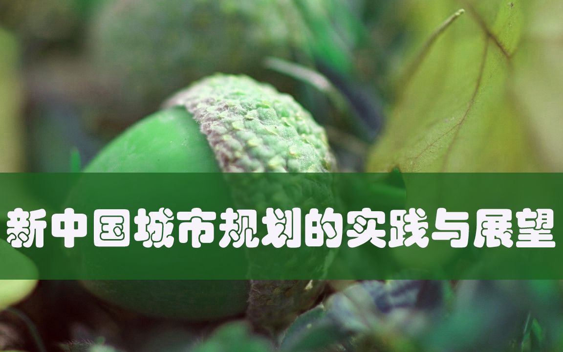 新中国城市规划的实践与展望