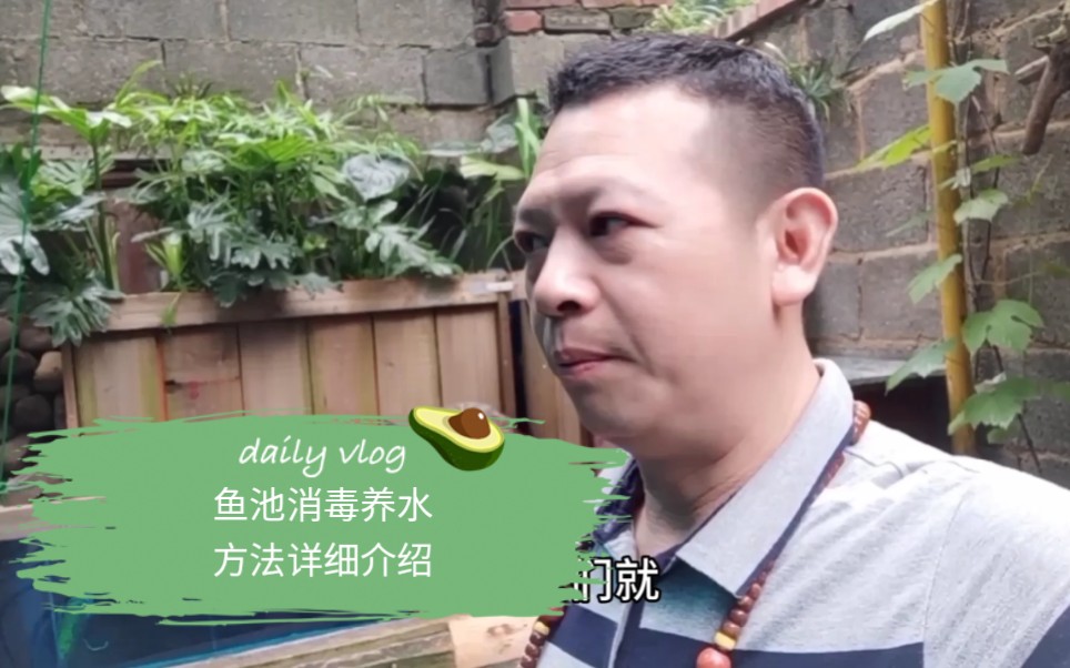 ...池消毒方法,养水步骤,本期视频详细为你解答。【宠物的种类】+观赏鱼