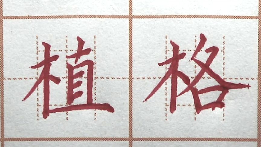 每个人都能写好的木字旁,植格二字值得收藏,二年级硬笔书法练字