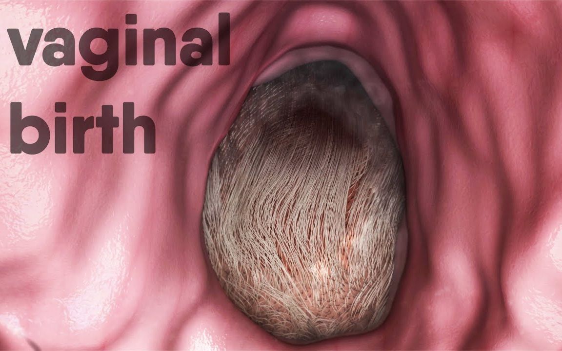 自然分娩 | 医学科普动画 | 健康教育
