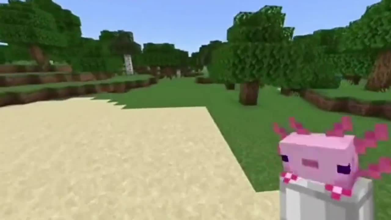 动作优化 #minecraft #我的世界版本连更