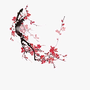 南阜有大鸟_ 