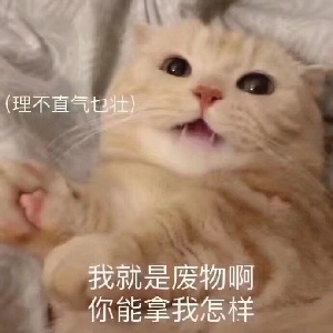 La笔不小新 