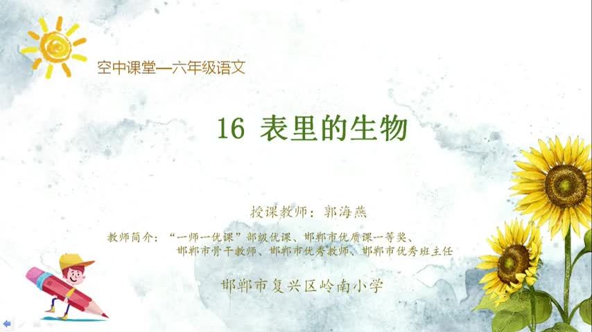 六年级语文 16 表里的生物