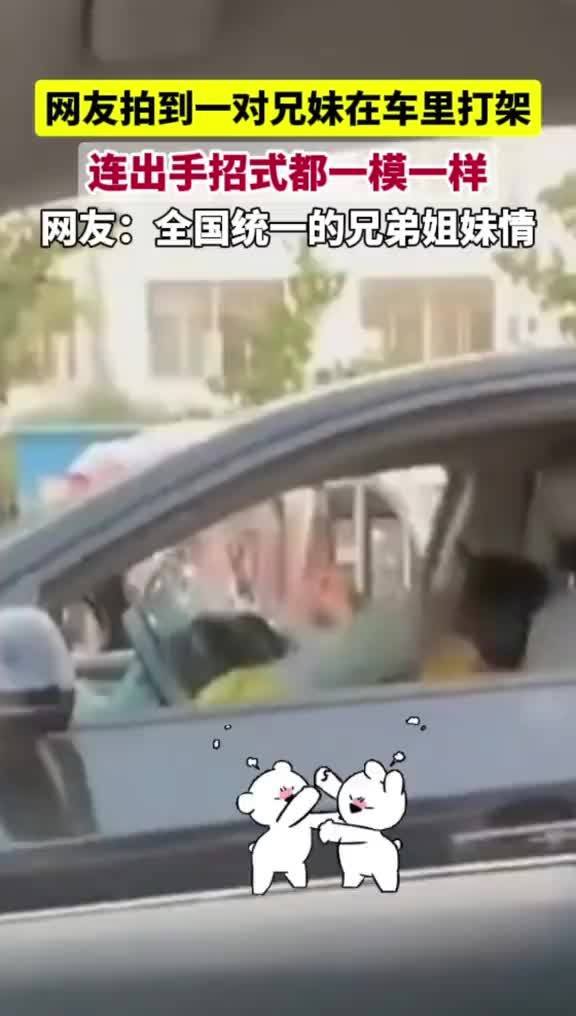网友拍到一对兄妹在车里打架,连出手招式都一模一样