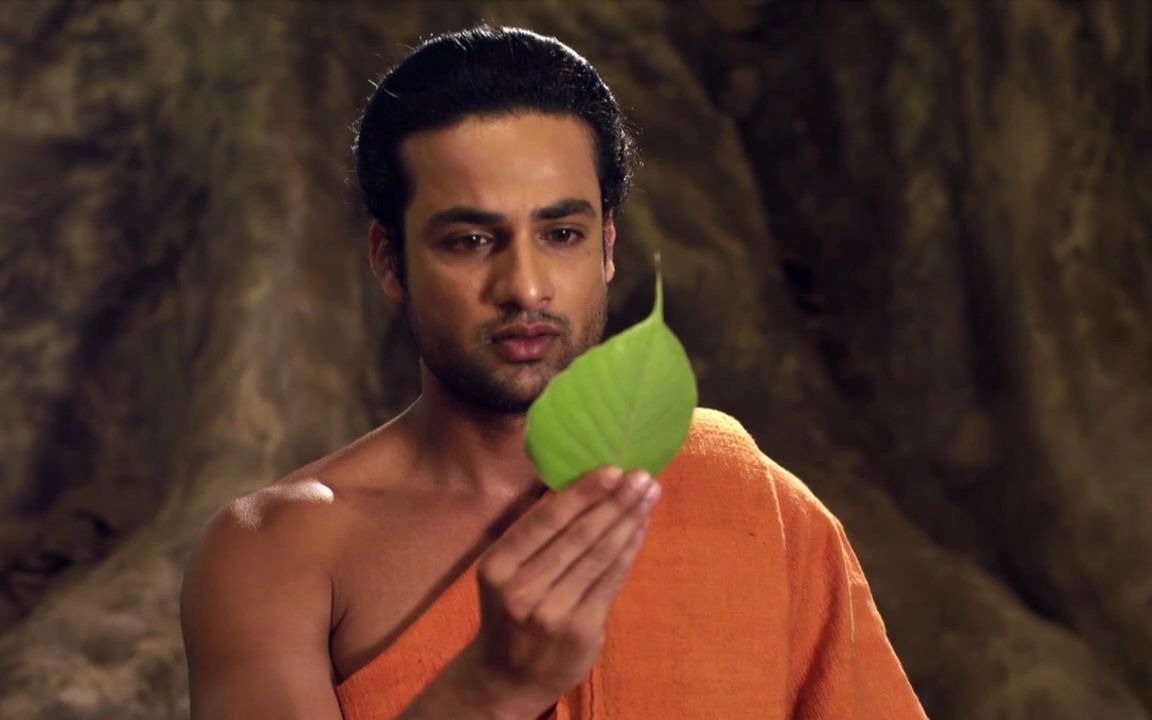 一花一世界一叶一菩提,你我并无差别(佛陀)(释迦牟尼)印度电视剧-54集...