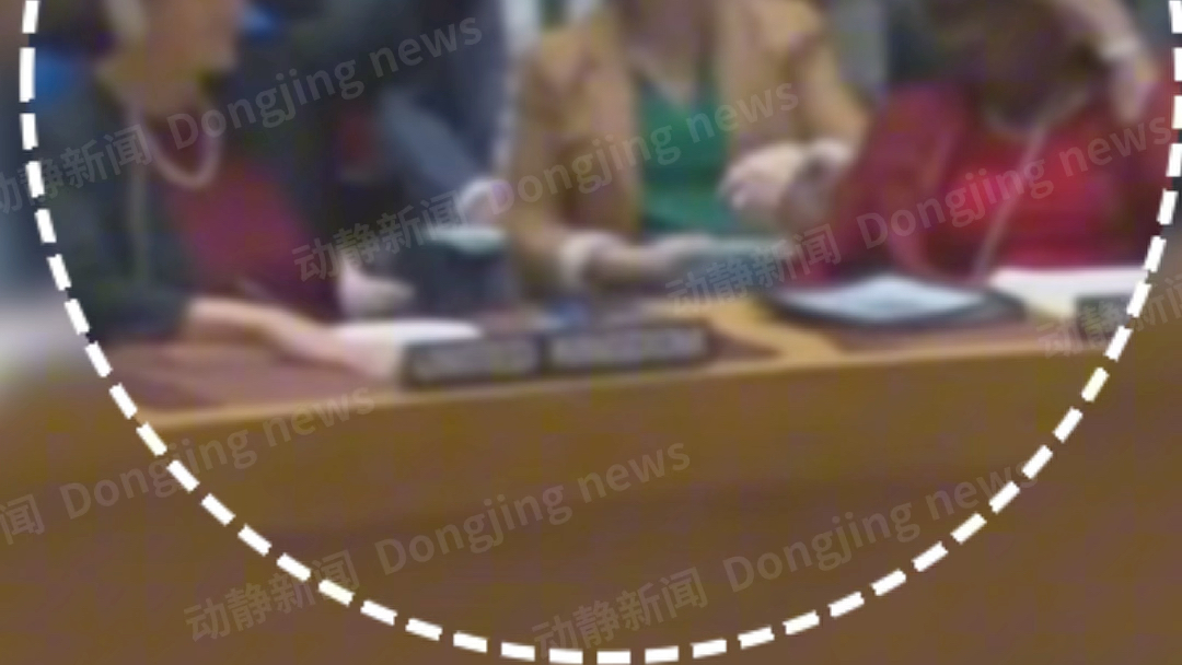 安理会惊人一幕!联合国表决人道援助加沙决议,美国代表举手被同事...