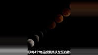 如何教小学或幼儿园小朋友排序(三)