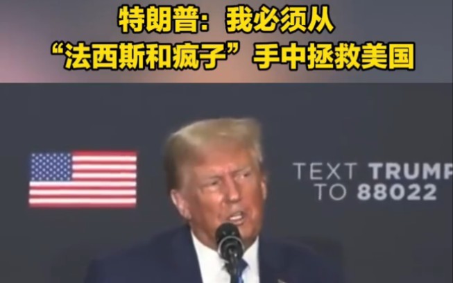 特朗普:我必须从“法西斯和疯子”手中拯救美国!