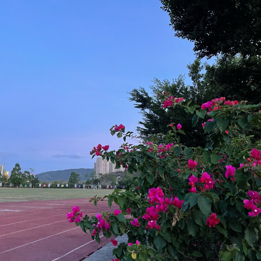 田万华 