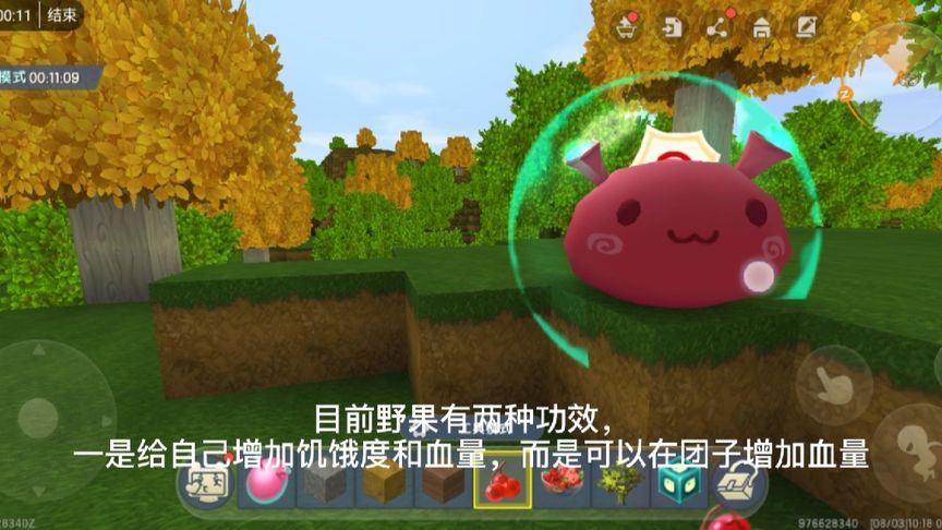 迷你大揭秘:迷你世界野果的原型。