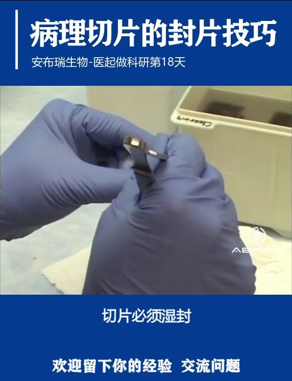 病理切片的封片技巧
