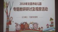 文昌市幼儿园专题教研研讨及观摩活动