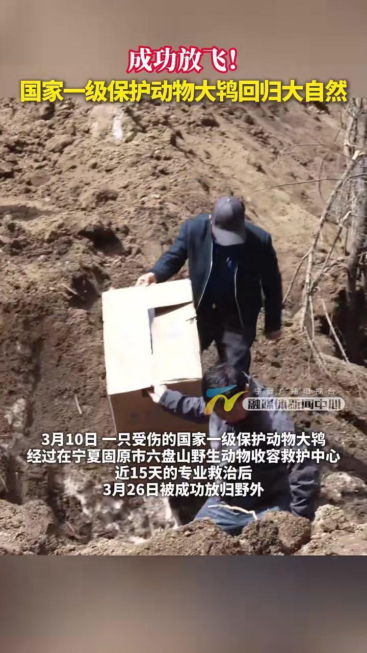 成功放飞!国家一级保护动物大鸨回归大自然(记者:董鹏海原融媒:宁增彦...