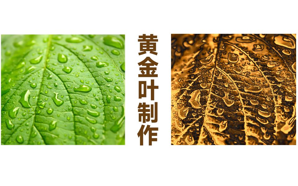 PS-差值-颜色查找-黄金叶制作
